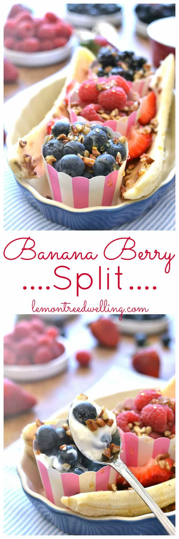 Banana Berry Split – Lemon Tree Dwelling